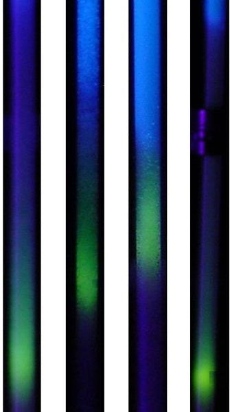 D1319 FIA Fluorescent Indicator Adsorption – DC SCIENTIFIC